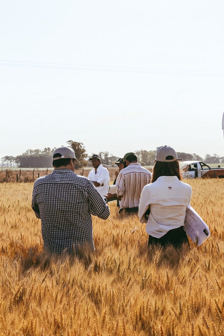 Empresa – Sigma Agro